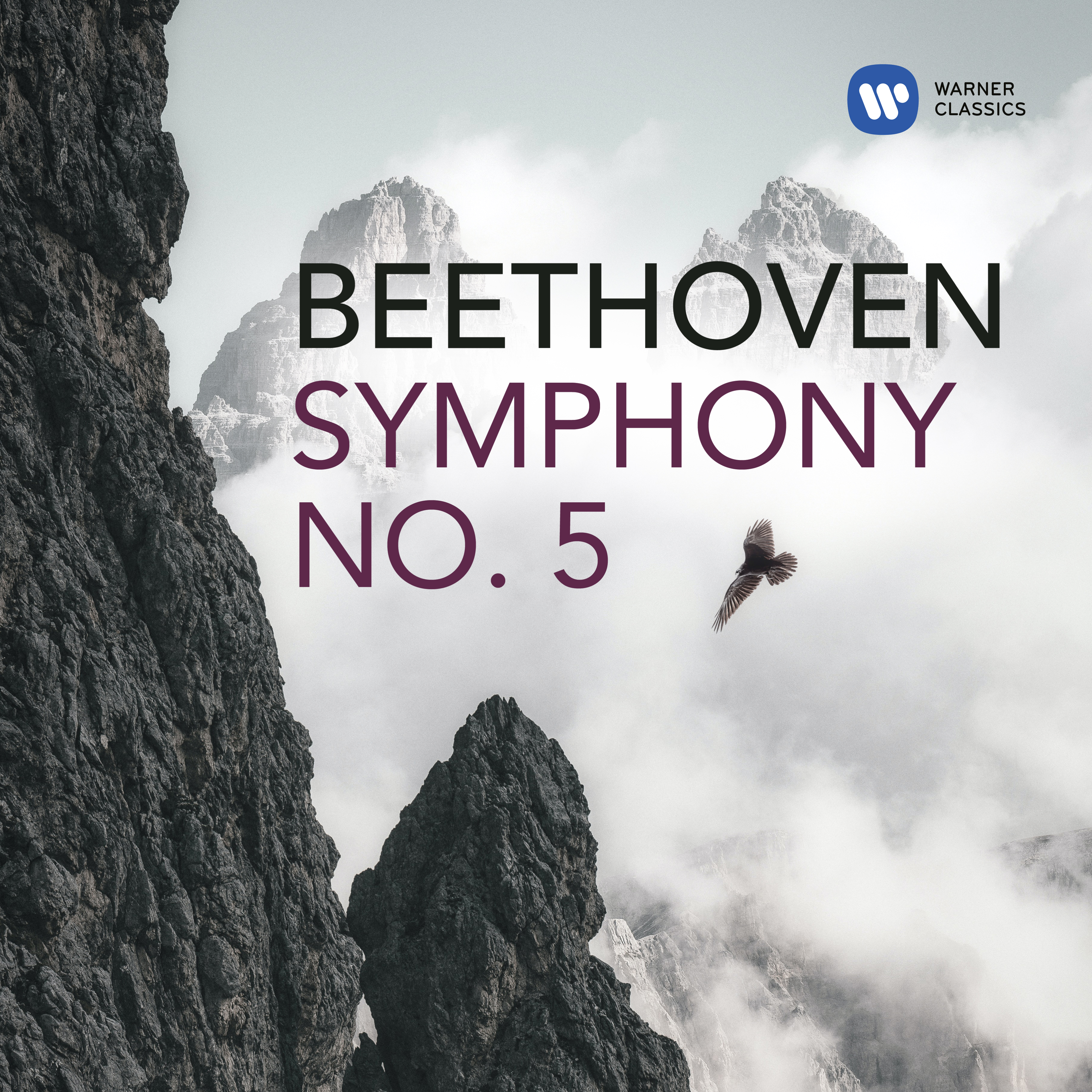 Beethoven: Symphony No. 5 | Warner Classics