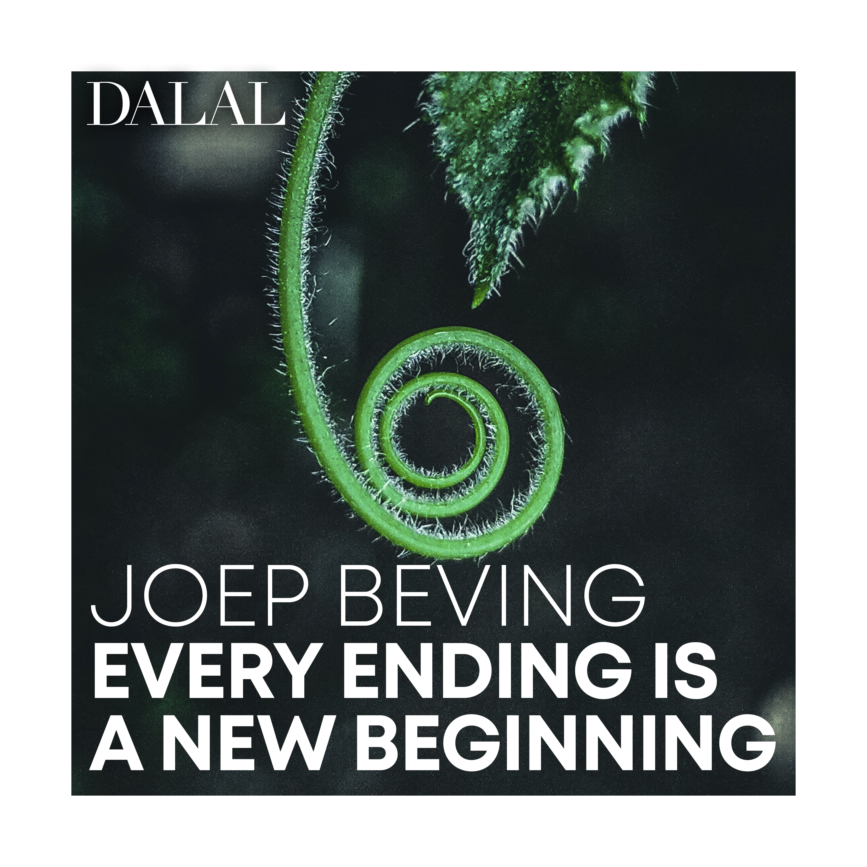 Joep Logo Personal Branding: SEO Ist Die Beste Online PR | Felix