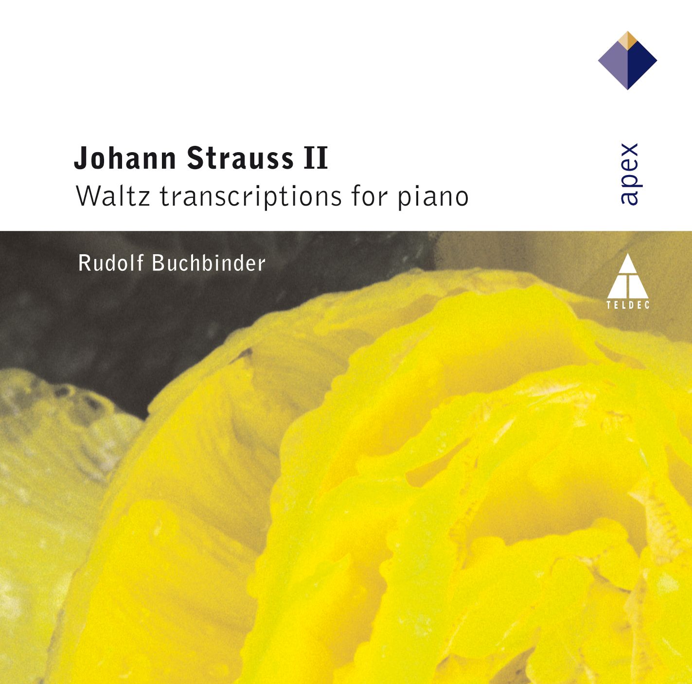 Strauss, Johann II : Waltz Transcriptions for Piano | Warner Classics