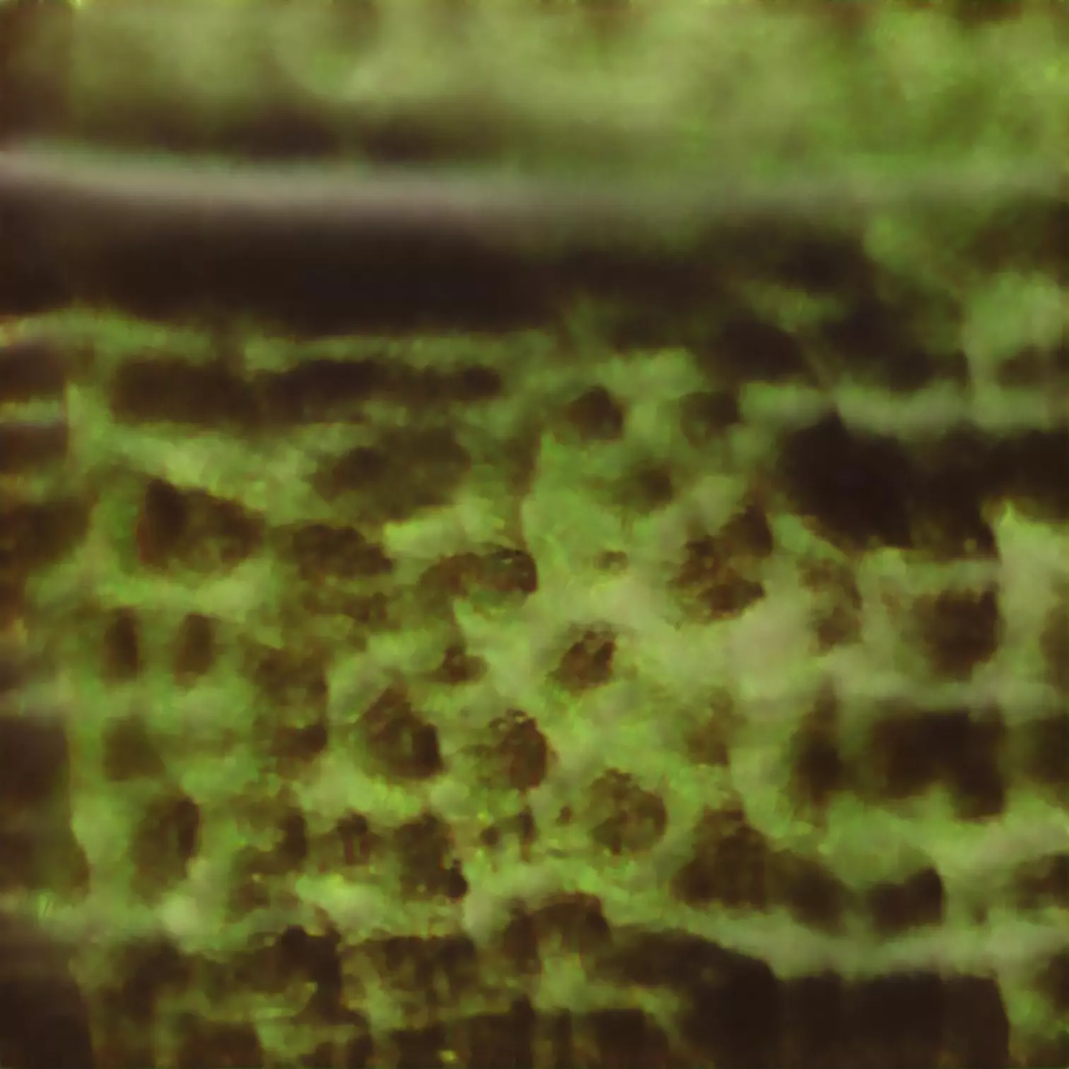 Between two strangers | Warner Classics